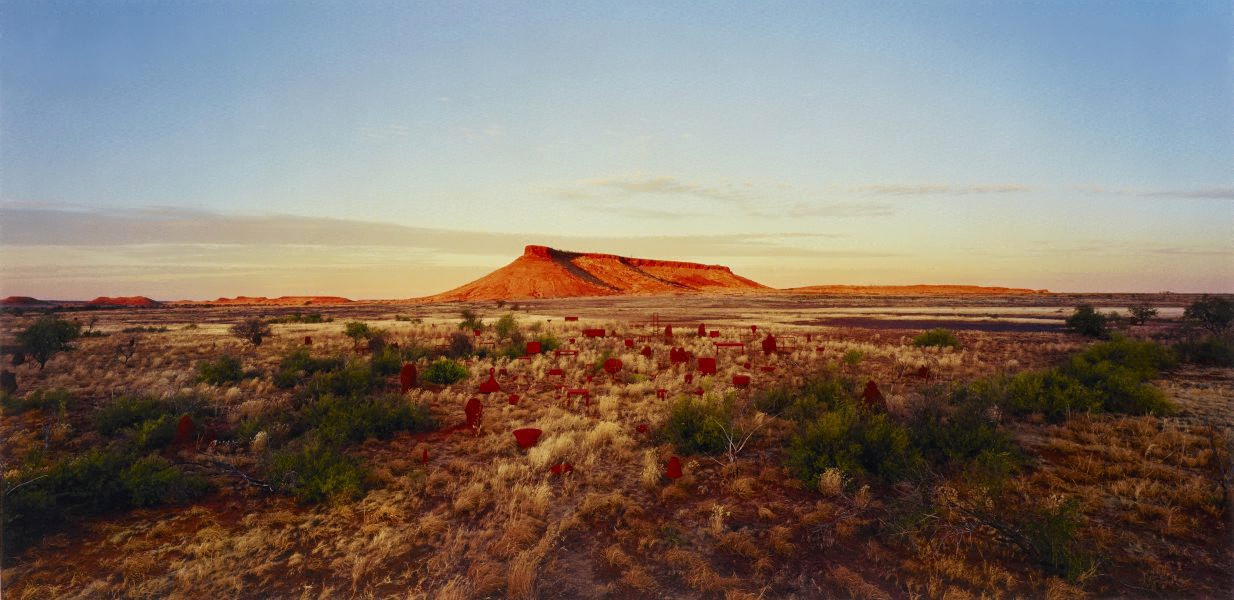 Rosemary Laing | Alison Renwick Art Consultancy