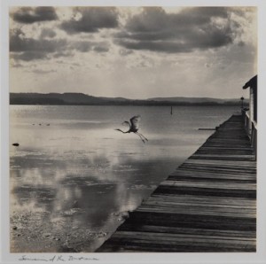 Souvenir of the Entrance | Alison Renwick Art Consultancy